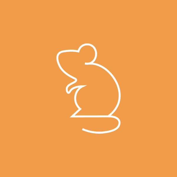 Rad Source Technologies | X-Ray Designed for Life Science