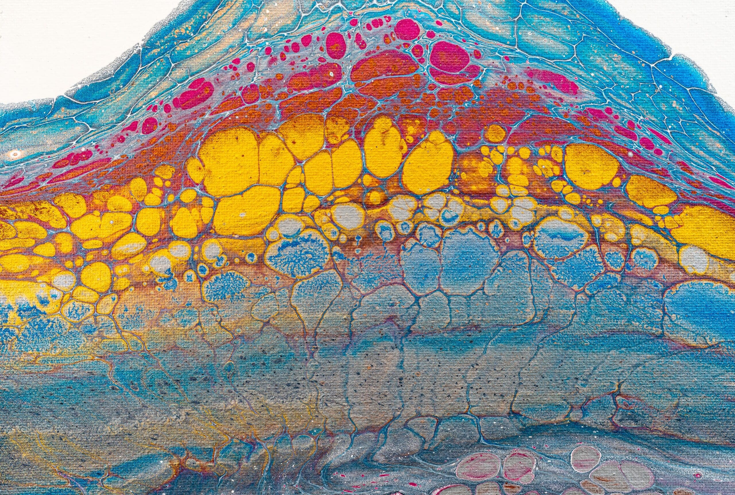 RS 2000 Small Animal Irradiator | Rad Source Technologies